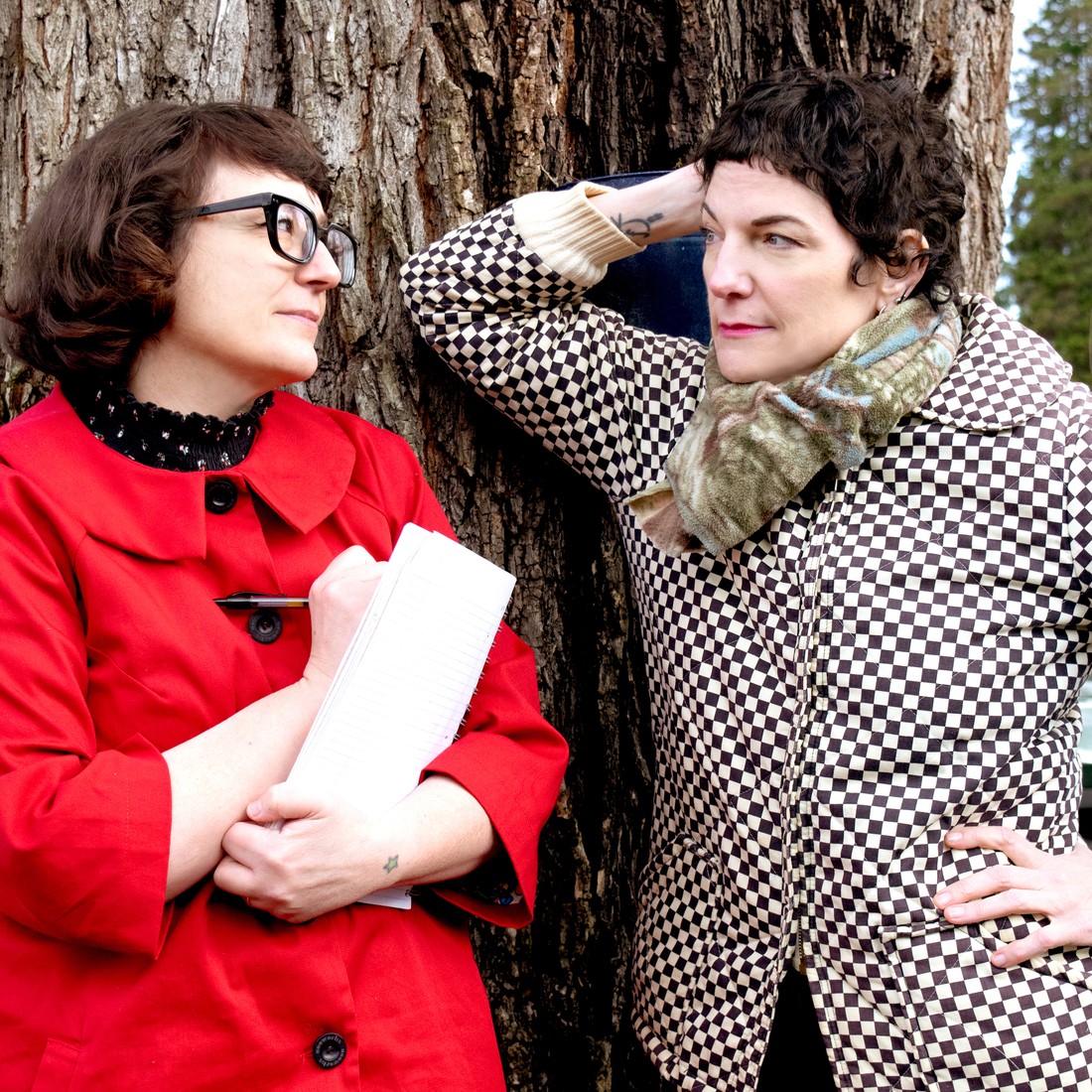 The Softies -'California Highway 99' - The Daily Music Report