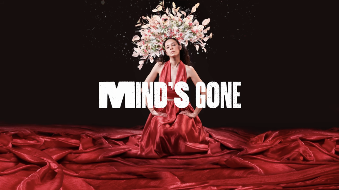 Mr. Gnome - 'Mind's Gone' - The Daily Music Report